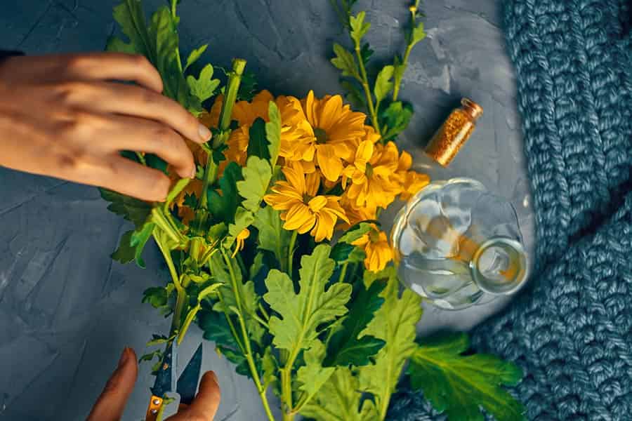 9 Pro Tips to Keep Your Flowers Fresh for Weeks | Floral Fusion