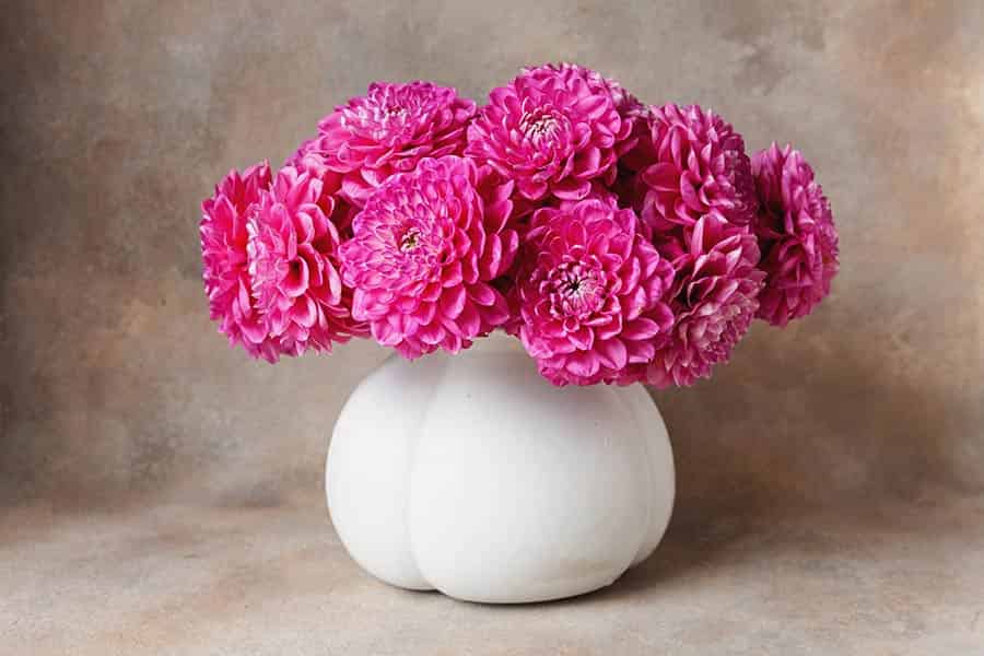 Seasonal Blooms: Perfect Flowers for Every Month | Floral Fusion